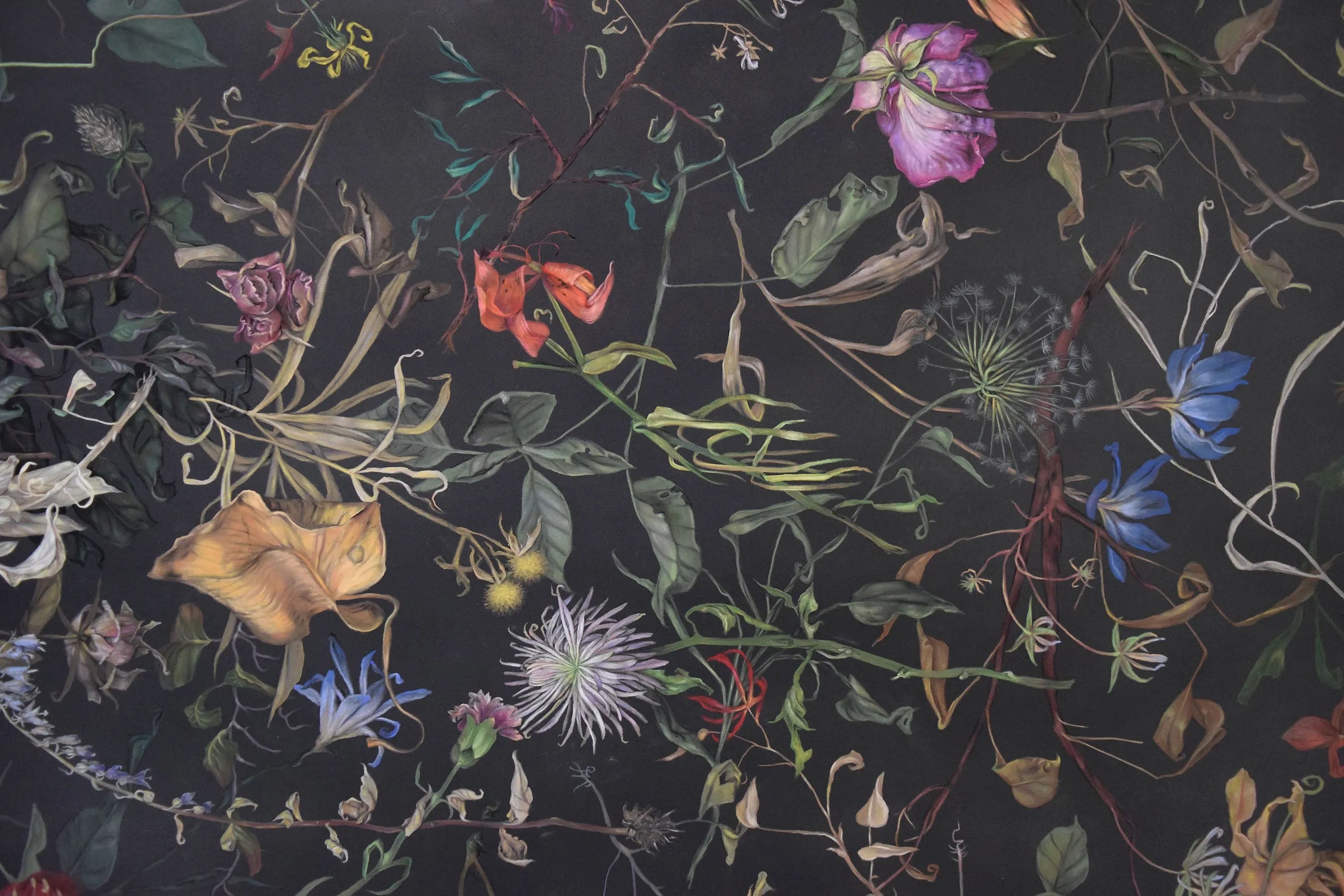 Current Exhibitions – PEM Shop