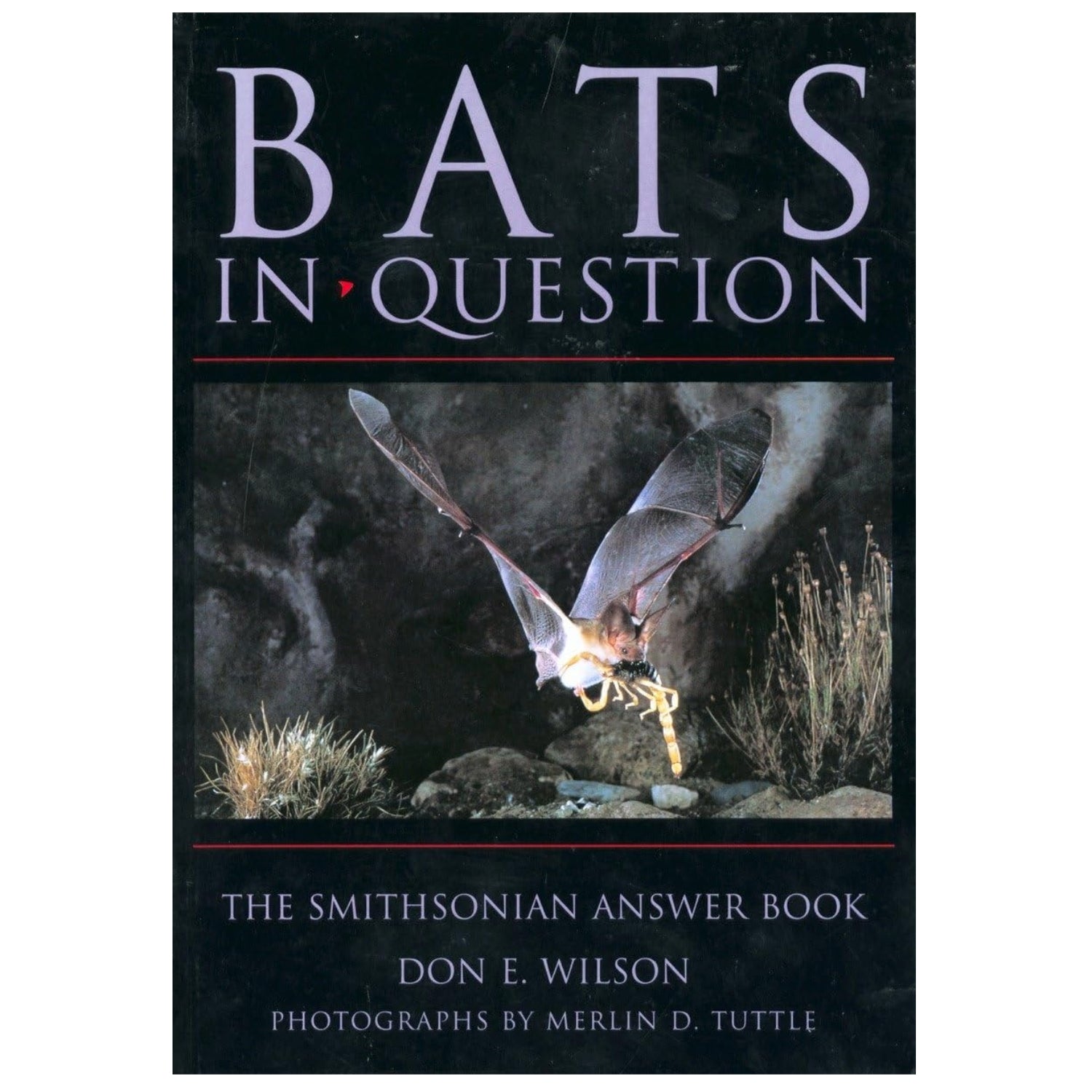 Bats in Question: The Smithsonian Answer Book – PEM Shop