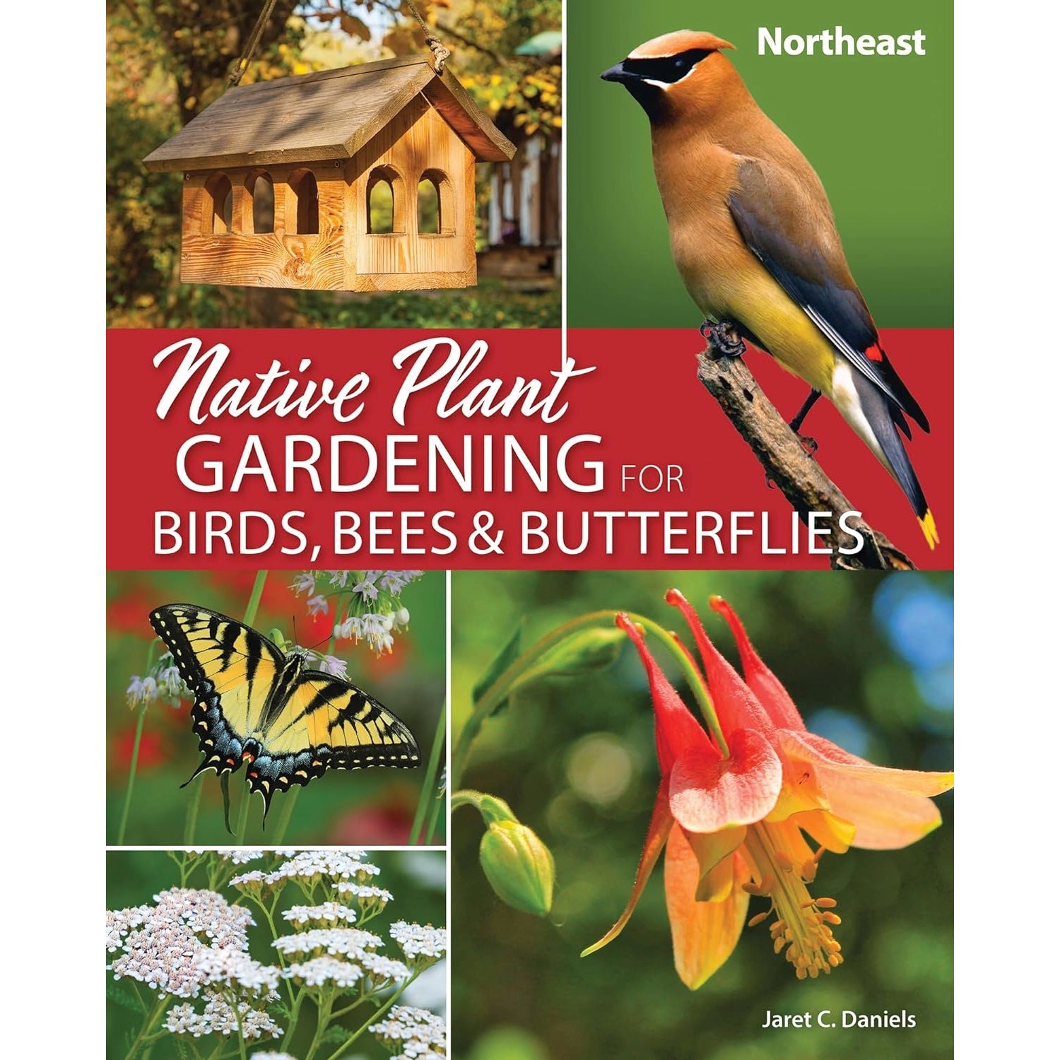 Native Plant Gardening for Birds, Bees & Butterflies: Northeast – PEM Shop