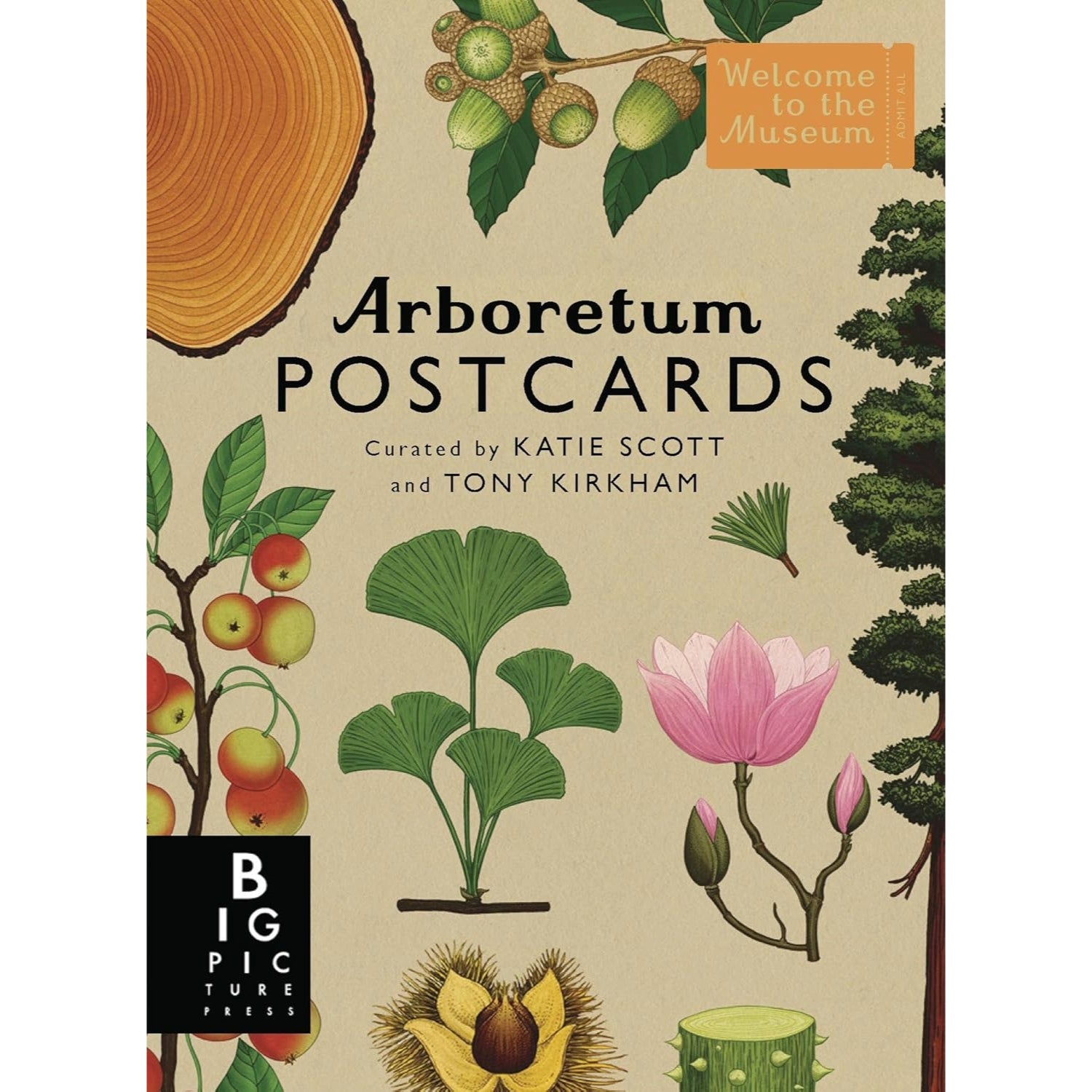 Arboretum Postcards Box – PEM Shop