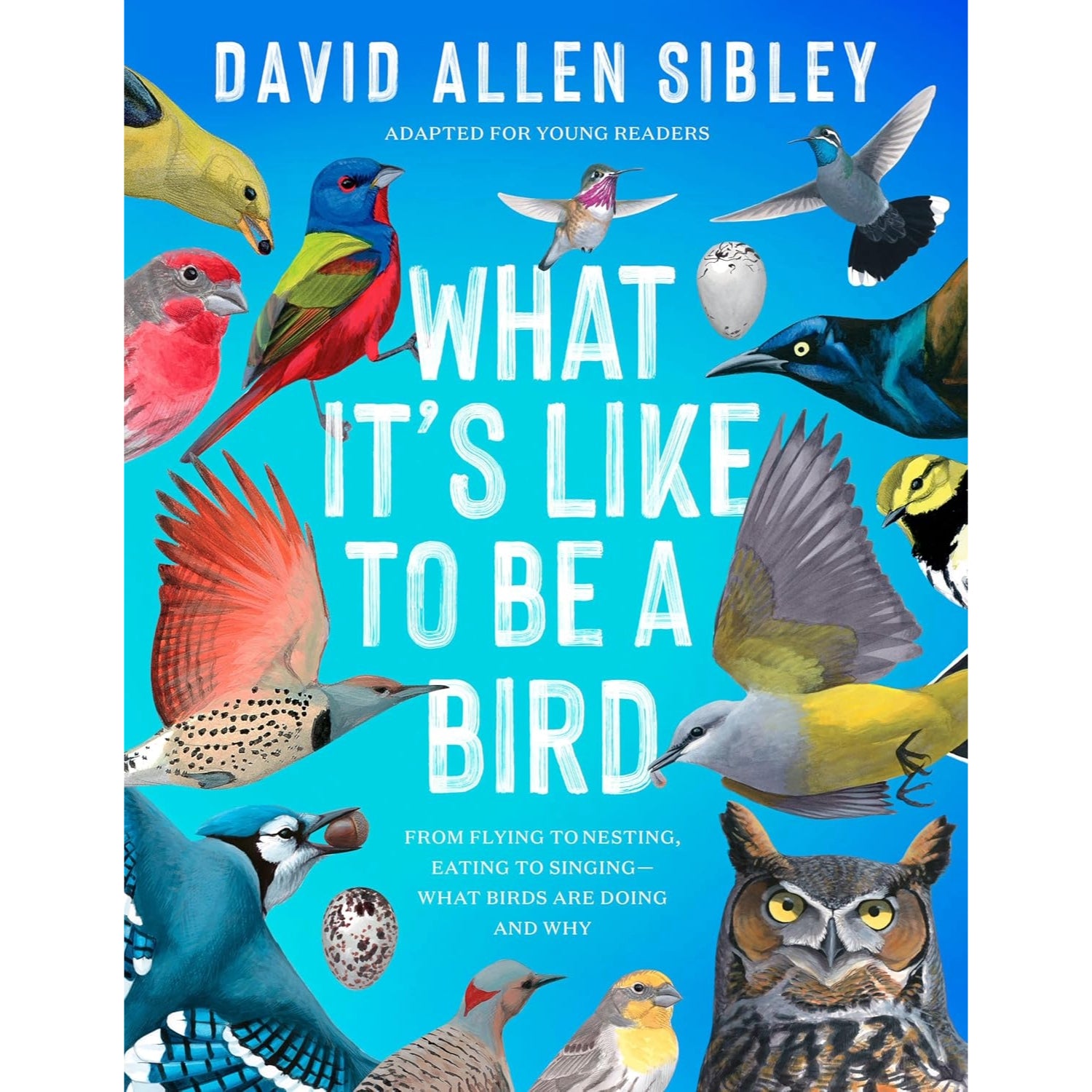 What It's Like to Be a Bird (Adapted for Young Readers): From Flying t ...